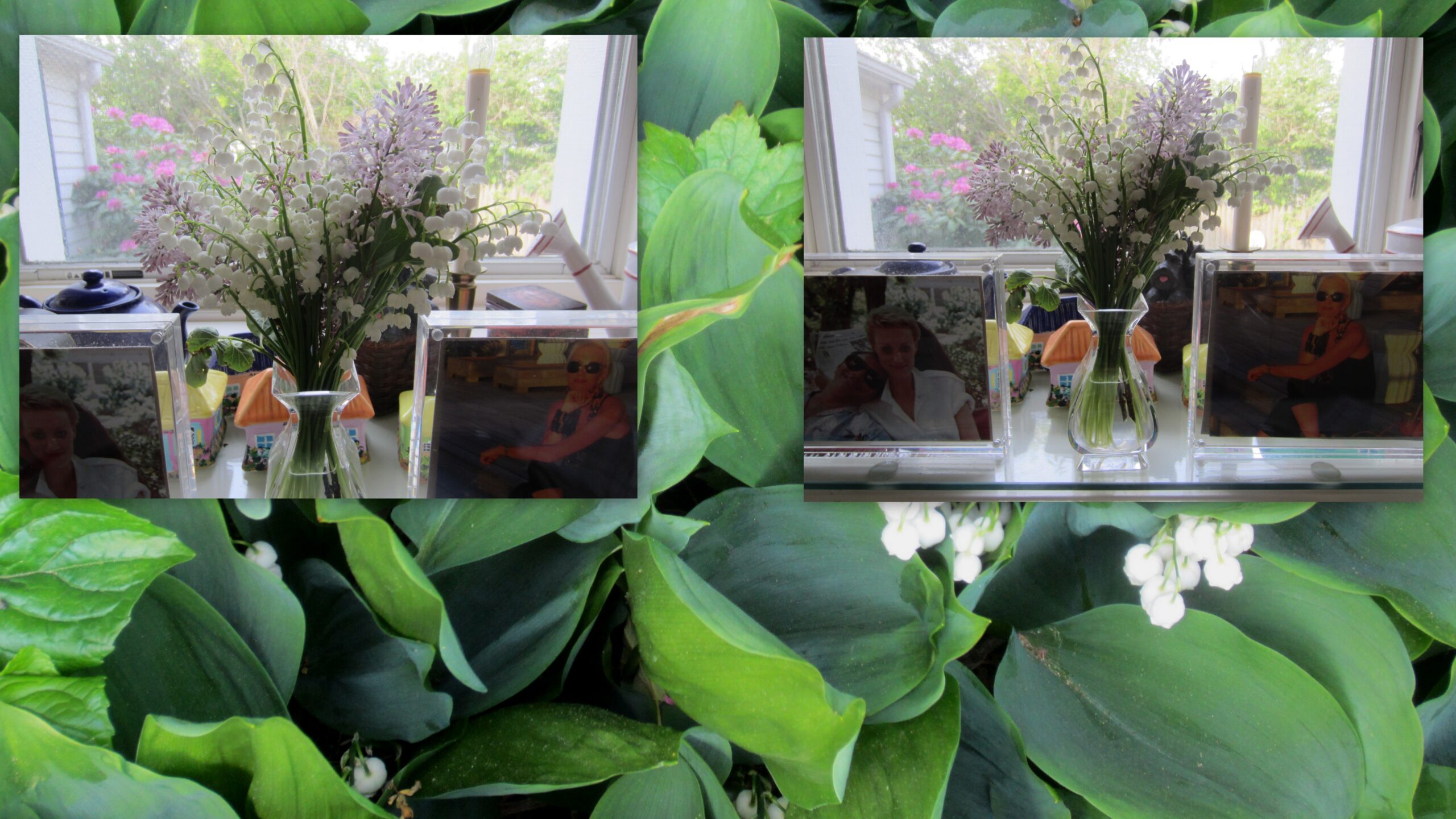 “LILY OF THE VALLEY” – Louis Dell'Olio